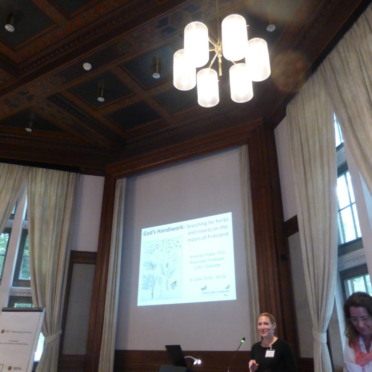 Amanda Pipkin | Research